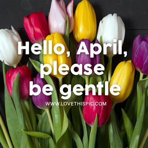 Colorful Tulips Hello April Please Be Gentle Pictures Photos And