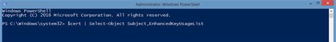 powershell how to create a self signed code signing certificate with a