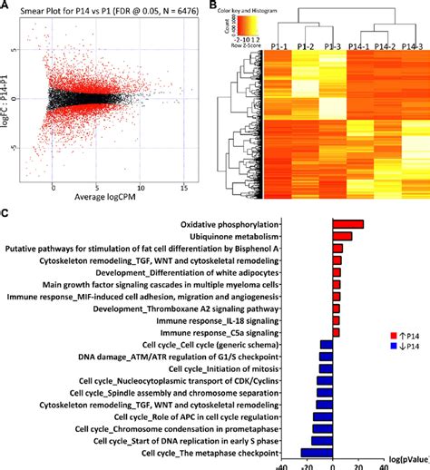 Rna Seq Go Analysis