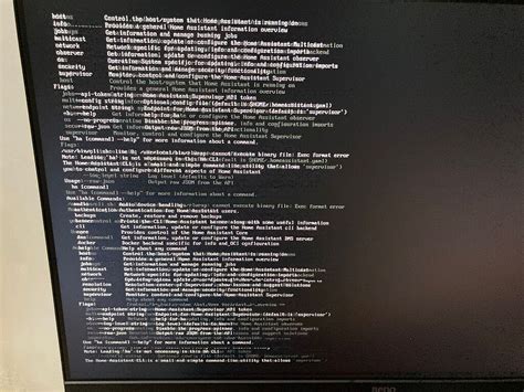 cannot execute binary file exec format error note leading ha is