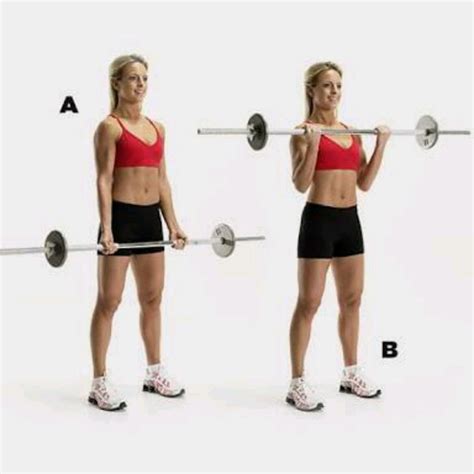 Bicep Curls Barbell Atelier Yuwa Ciao Jp