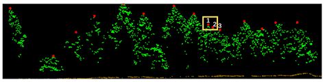 Remote Sensing Free Full Text Tree Species Classification Using
