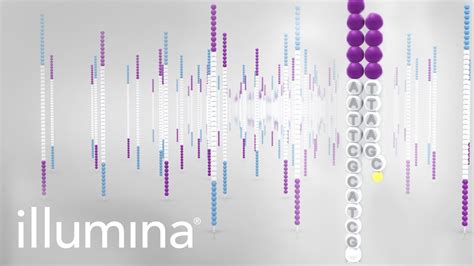 Overview Of Illumina Sequencing By Synthesis Workflow Youtube