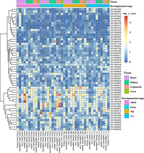 Differential Alternative Splicing Events Dase Across Tissues At The