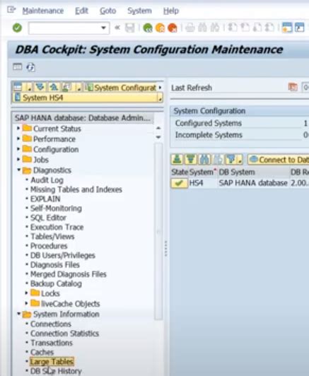 how to find largest tables in hana sql server