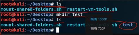 kali linux下的文件操作常用命令 kali文件操作基础学习 纯干货 kali的文件夹怎么重命名 csdn博客