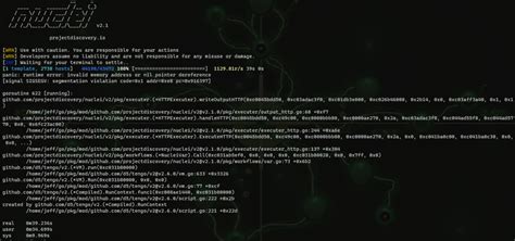 [issue] panic runtime error invalid memory address or nil pointer