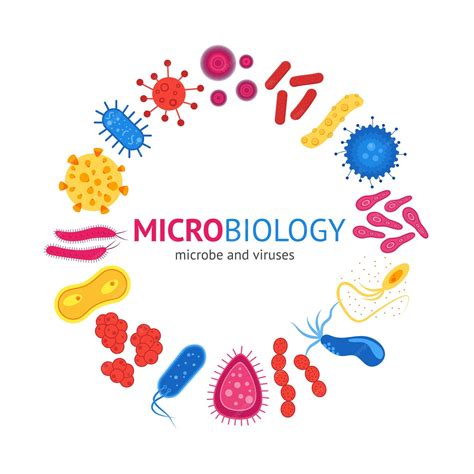 Premium Vector Virus And Bacteria Card Concept Of Microbiology