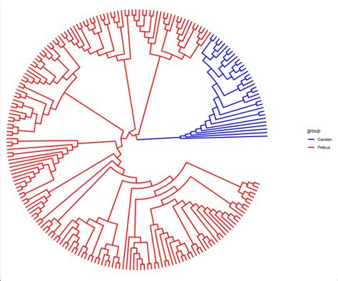 Upgma Based Dendrogram Showing The Genetic Relationship Among The 214