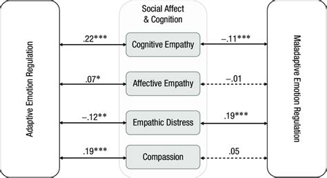 Associations Between Adaptive And Maladaptive Emotion Regulation And