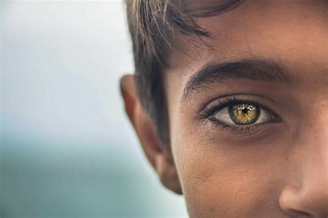 Les Plus Beaux Yeux Du Monde Une Exploration Fascinante Marie