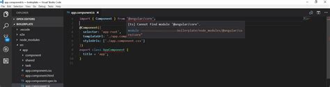 vs code cannot find module angular core or any other
