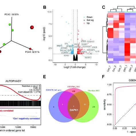 Screening Of Autophagy Related Hub Gene Analysis And Visualization A