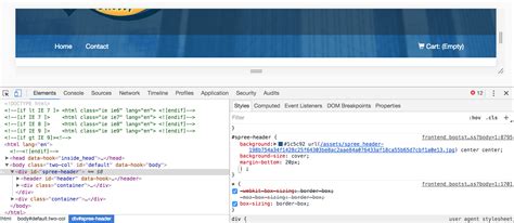 background image url in css relative path the meta pictures