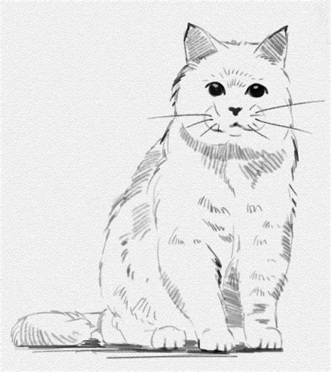 Как нарисовать кошку карандашом поэтапно для начинающих легко и красиво