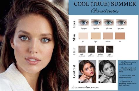 Summer Skin Tone Summer Eyes Dark Summer Cold Summer Soft Summer