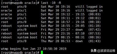 linux查看ftp日志 详解last命令如何查看linux系统日志 csdn博客