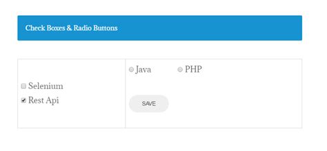 how to click a radio button in selenium webdriver