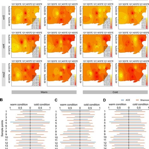 Spatial Distributions Of Denitrification Functional Genes Relative