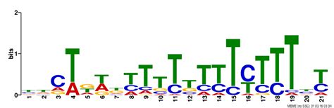 python sequence logos in matplotlib aligning xticks stack overflow