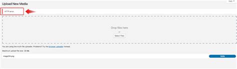 error when uploading images to wordpress
