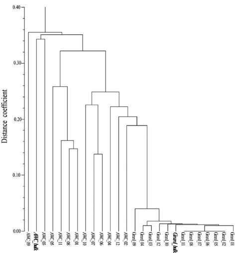 Dendrogram Based On Cluster Analysis Of 12 Plants Comprising The