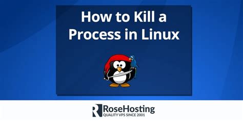 how to kill a process in linux rosehosting