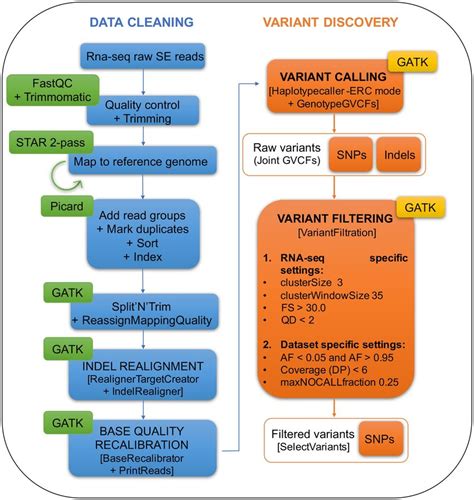Snp Calling Analysis Pipeline On Rna Seq Data This Workflow Was