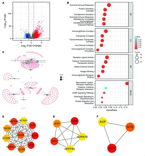 Protein Protein Interaction Ppi Network Building And Go And Kegg