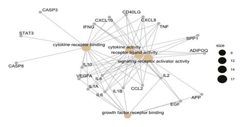 Go Including Bp Mf And Cc And Kegg Analysis Of Common Genes A C