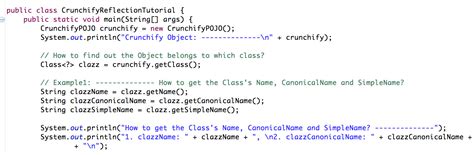 crunchifys java reflection api tutorial create simple pojo and multiple
