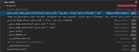 c segmentation fault after main returns when building for coverage