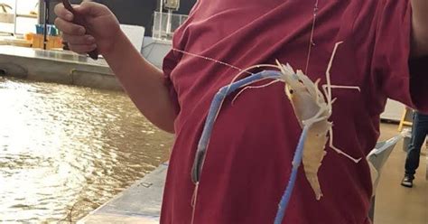 Bkk Koko 🦐 エビの釣り堀は、ちょっと高いけど今まで行っていた方が良いかな