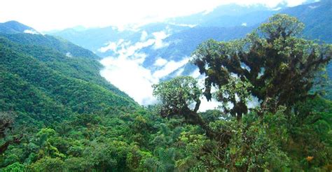Líderes Mundiales Se Unen Para Revertir La Pérdida De Biodiversidad