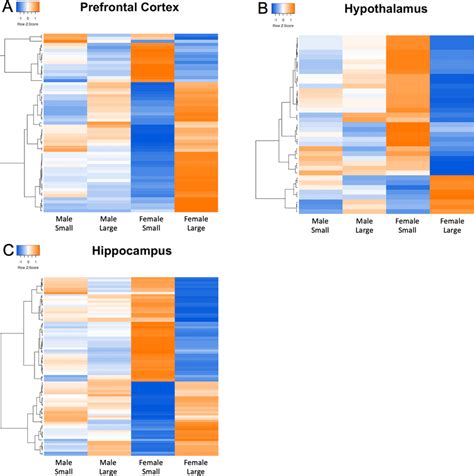 Heatmaps Depicting All Differentially Expressed Genes Between Females