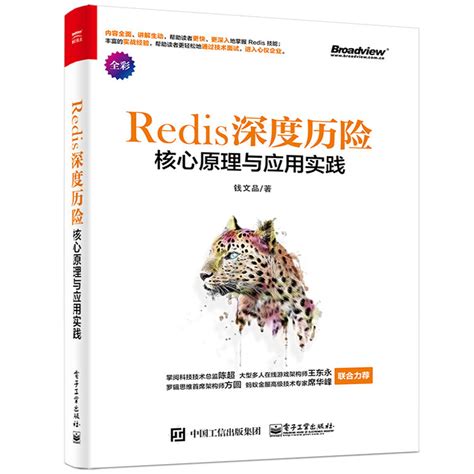Redis深度历险核心原理与应用实践钱文品互联网技术架构书 Redis教程书 Redis中间件运维书籍 Redis技术应用原理图书籍 虎窝淘