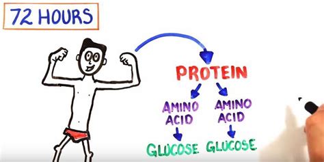 this is how your body reacts to starving