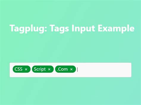 turn a text field into a tags input tagplug css script