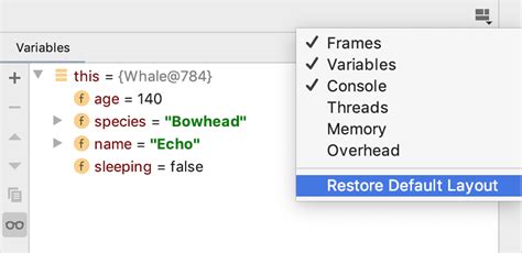 debug tool window intellij idea