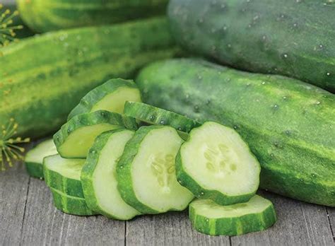 cucumber seeds high yield and flavor vegetable seeds burpee