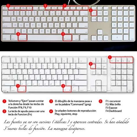 Lista 99 Foto Teclado De Computadora Y Sus Funciones De Cada Tecla