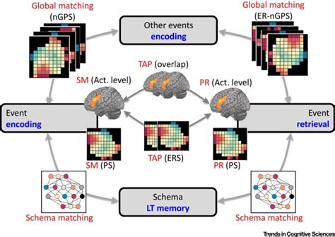 The Neural Representations Underlying Human Episodic Memory Trends In