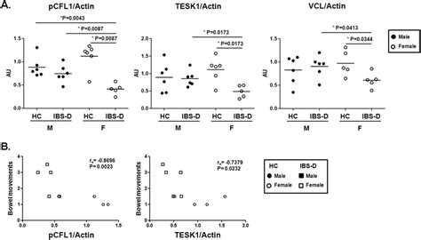 Expression Analysis Cfl1 Signaling Pathway In Ibs D Samples Divided By