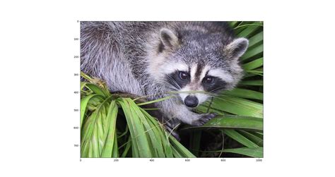 python calculating dual energy gradient using numpy