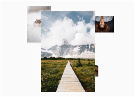 images vue js examples