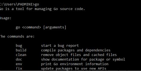 windows golang getting started go is not recognized as an