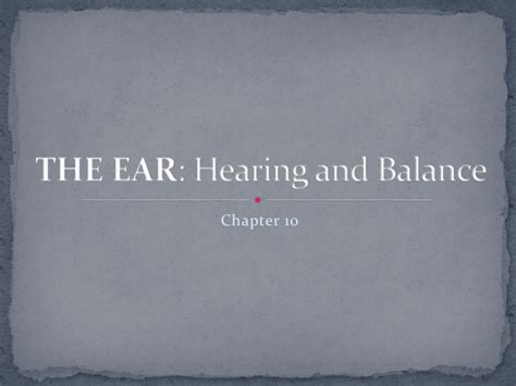 The Ear Hearing And Balance
