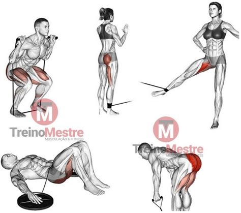 Treino De Pernas Completo Para Hipertrofia Treino Mestre