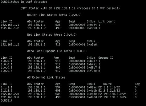 A Beginners Guide To Ocnos Ospf Routing — Pine Networks