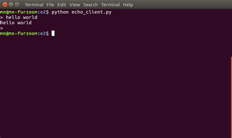 python网络编程－－echo服务 echo client csdn博客